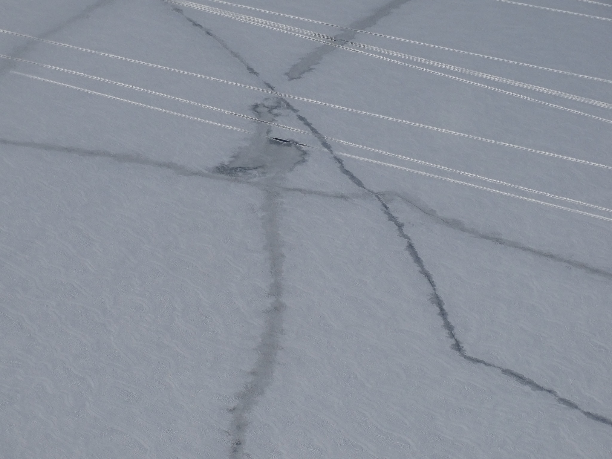 BAYSAR flight reveals tracks from one lucky snowmobiler – BAYSAR